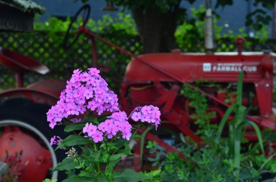 flower-tractor | CatchLight Gallery